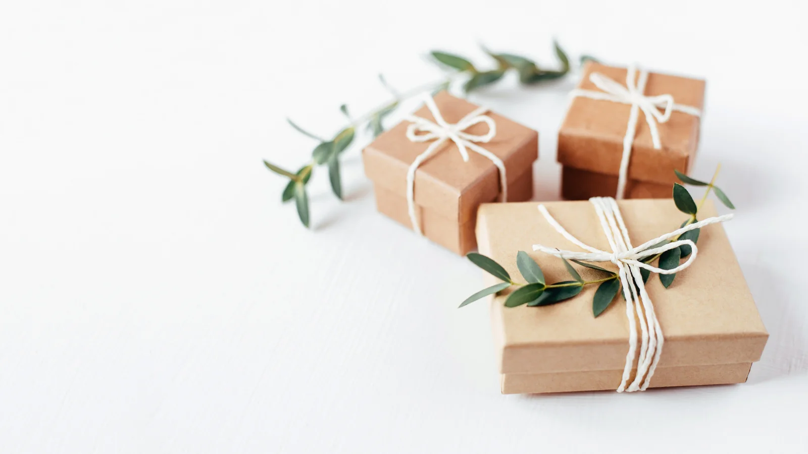 Eco Friendly Corporate Gift Ideas For A Sustainable Future Corporate